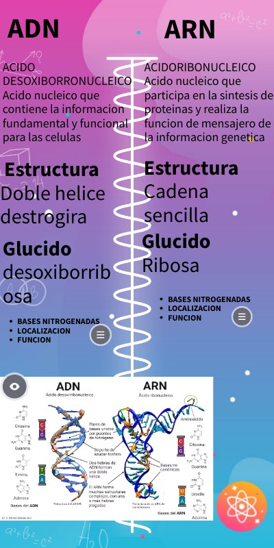 ADN Y ARN