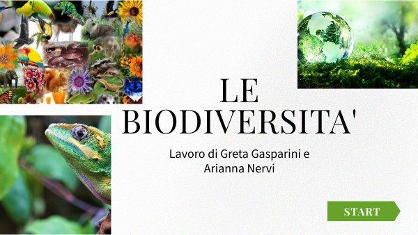 scienze