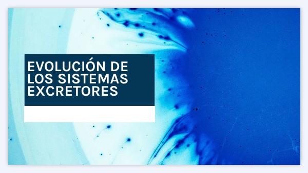 Evolución de los sistemas excretores | Genially