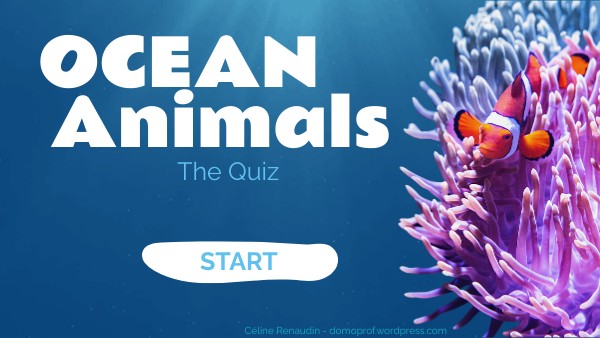 Ocean Animals | Genially