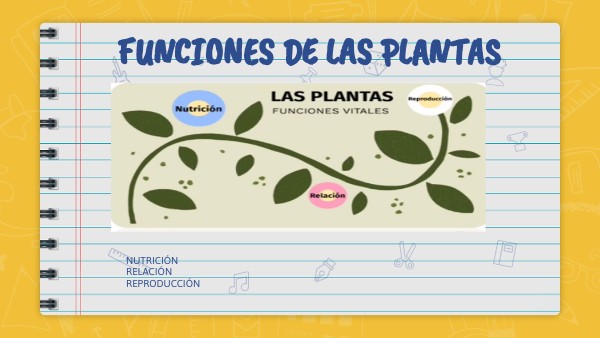 CIENCIAS NATURALES. FUNCIONES DE LAS PLANTAS | Genially