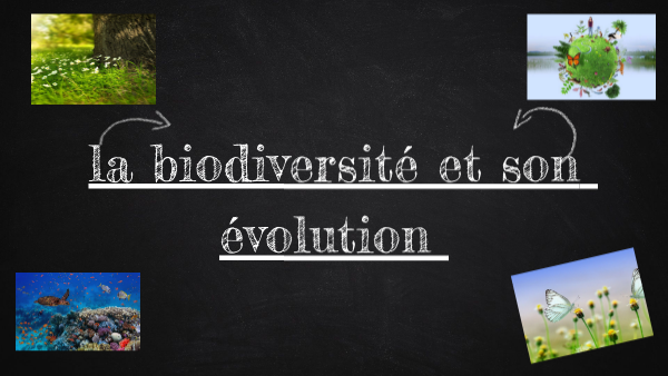 travail sur la biodiversité et son évolution