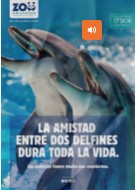 Publicidad delfines | Genially