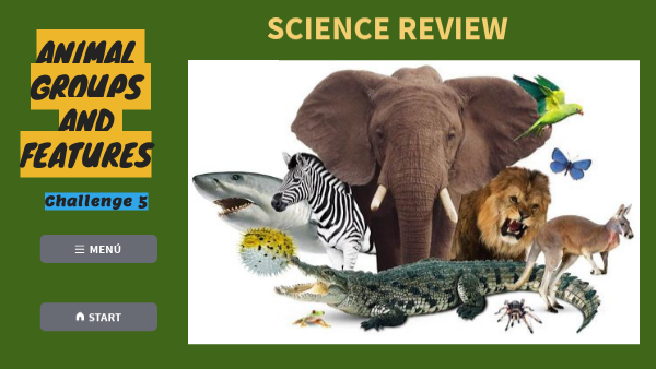 Animal Groups and Features Ch4