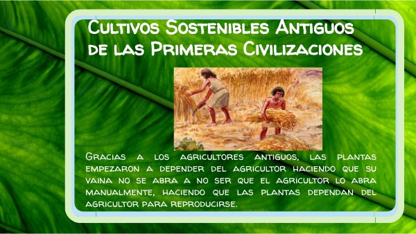 PRESENTACIÓN de eess para que estudies