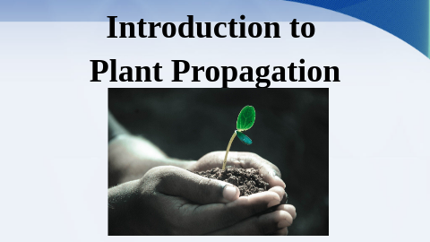 Plant Propagation | Genially