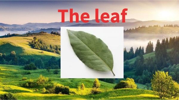 THE LEAF | Genially