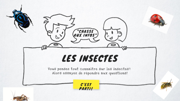 questionnaire insectes | Genially