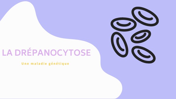 Drépanocytose | Genially