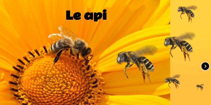LE API