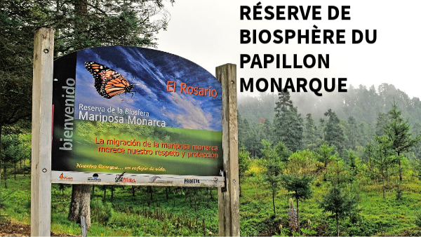 Réserve de biosphère du papillon monarque