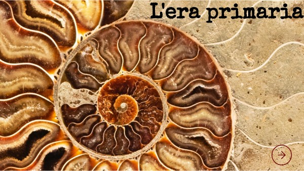 L'era primaria o paleozoica | Genially