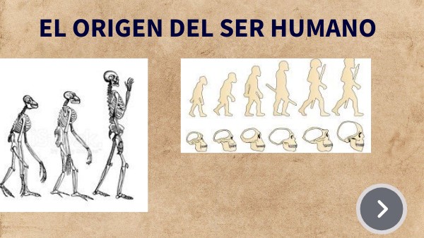EL ORIGEN DEL SER HUMANO | Genially