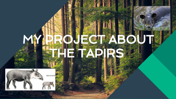 MY PROJECT ABOUT THE TAPIR copy | Genially