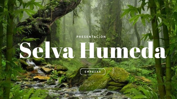 PRESENTACIÓN: SELVA HUMEDA