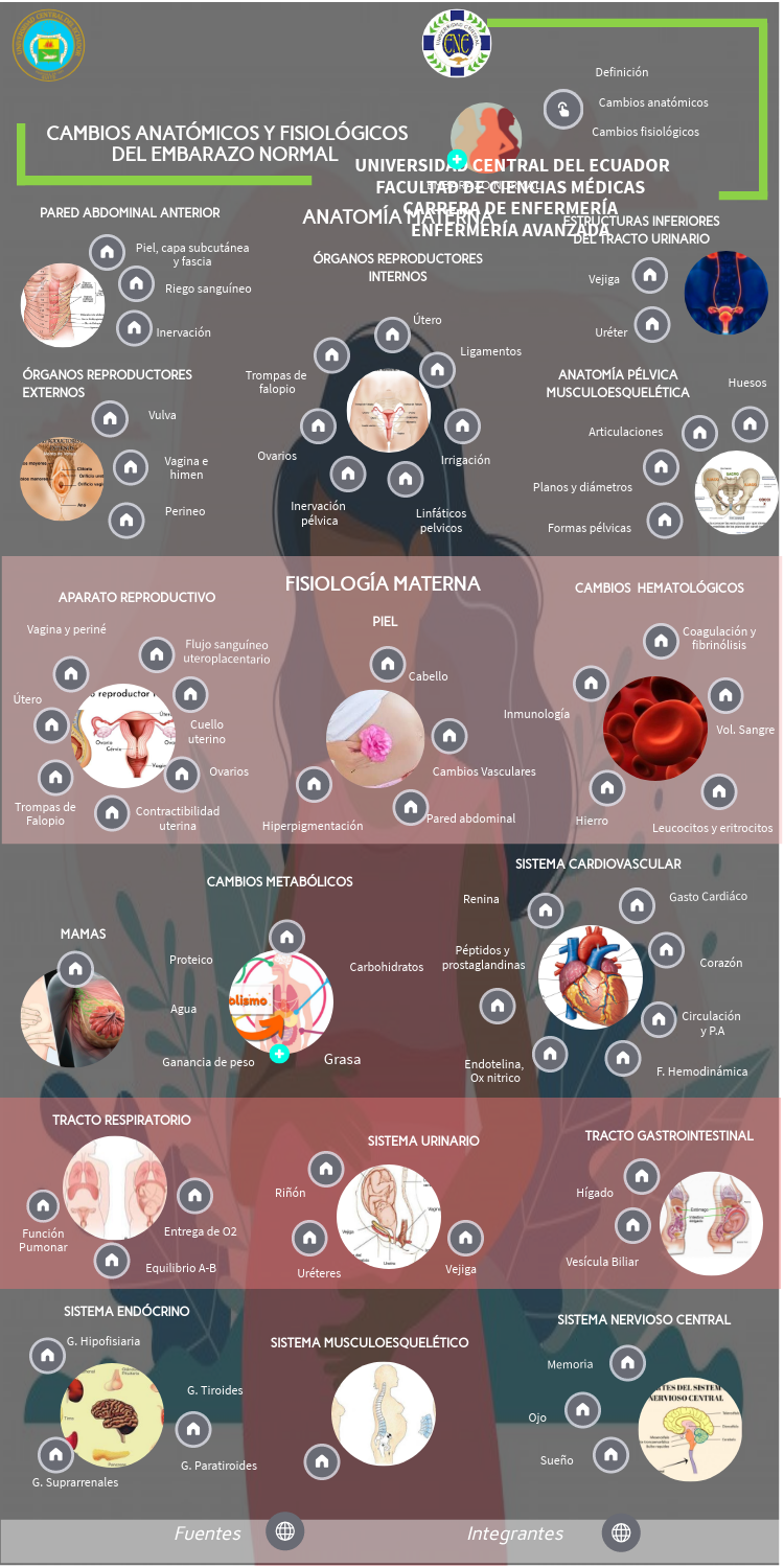 Cambios Anatómicos y Fisiológicos del embarazo normal