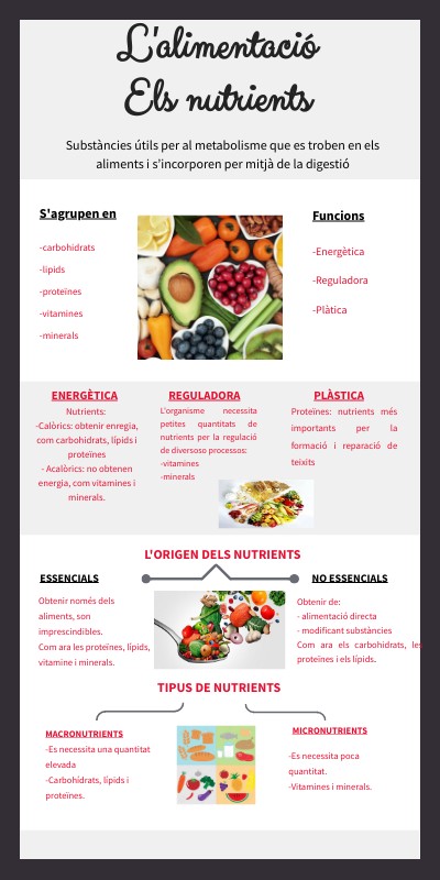 nutrients | Genially