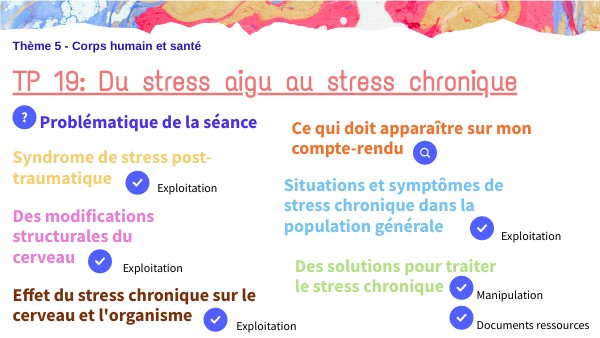 Du stress aigu au stress chronique | Genially