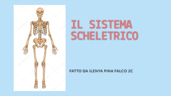 LO SCHELETRO,LE ARTICOLAZIONI E I MUSCOLI | Genially