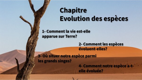 3ème Evolution des espèces | Genially