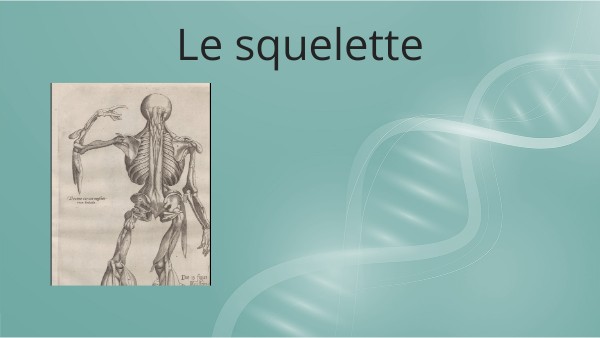 Les os CAP a | Genially