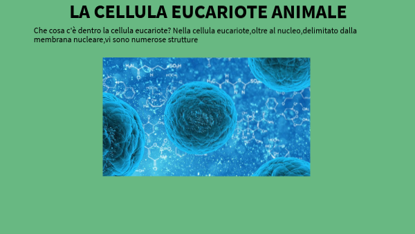 Le cellule eucariote copy | Genially