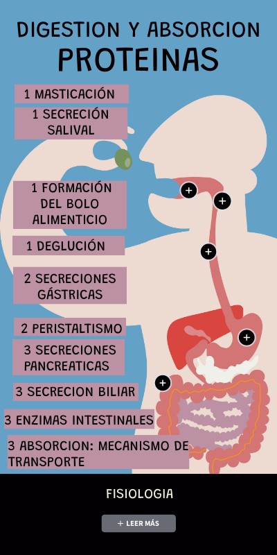 fisiologia