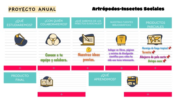 4ºB - PROYECTO ANUAL. MAXEI 2021.