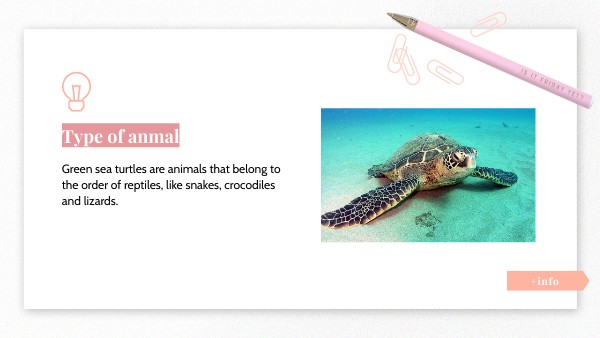 GREEN SEA TURTLE | Genially