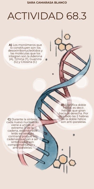 INFOGRAFÍA DEL ADN | Genially