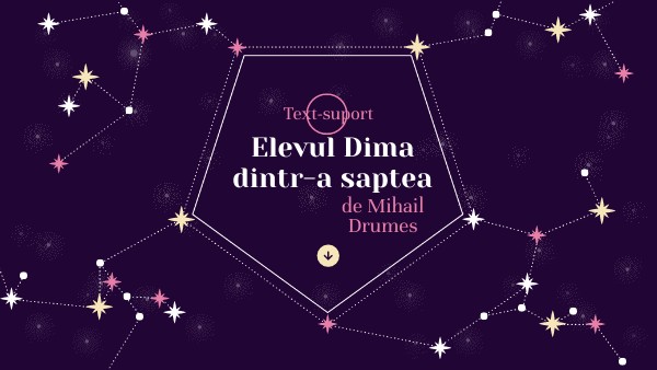 Proiect colectiv LLR