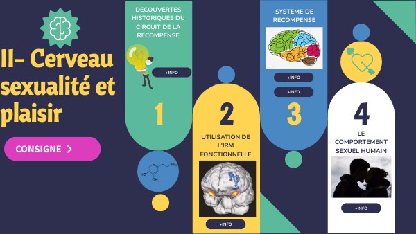 CERVEAU SEXUALITE ET PLAISIR (2NDE) | Genially