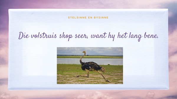 Stelsinne en Bysinne