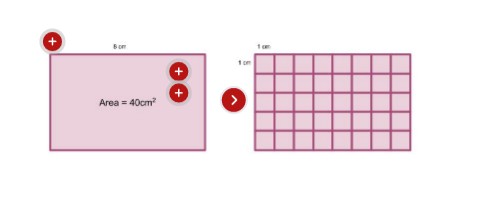 Area, length and breadth