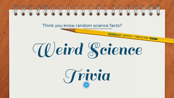 NOTEBOOK QUIZ