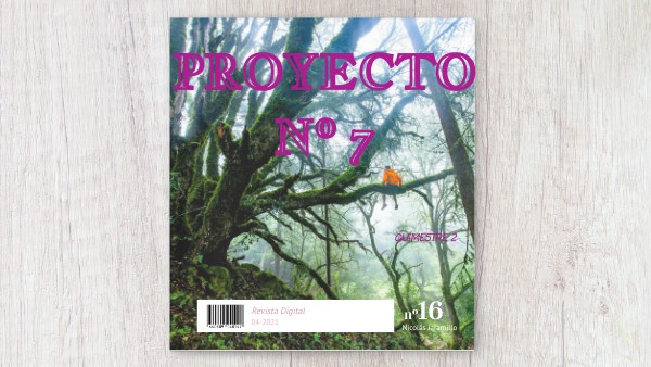 PROYECTO 7