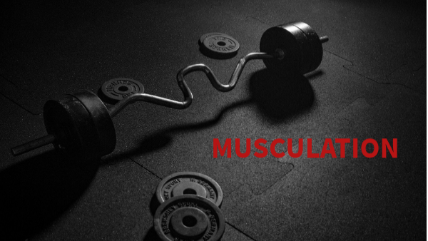 musculation terminales | Genially