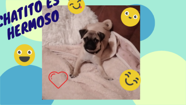 Chatito