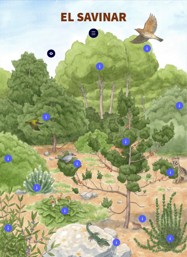 El savinar | Genially