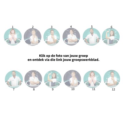 Zowe groepsverdeling