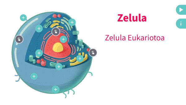 Zelula