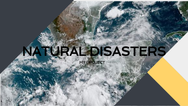 PROJECT INTERMEDIATE 2