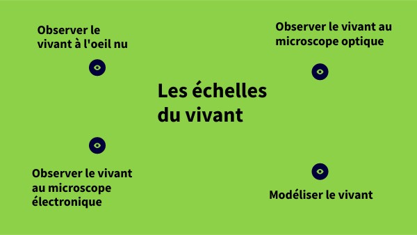 Les échelles du vivant | Genially