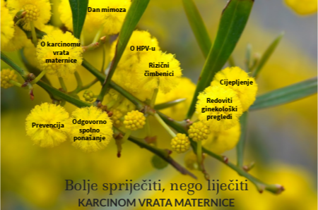 Karcinom grlića maternice