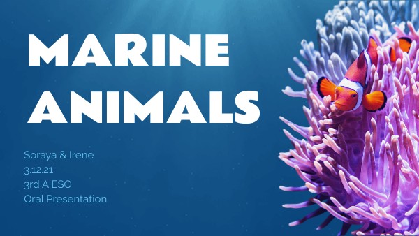 Marine Animals