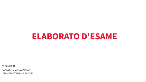 Meini Viola elaborato esame 3A