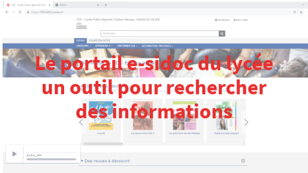 e sidoc SDN | Genially