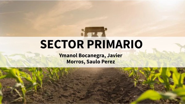 Sector Primario | Genially