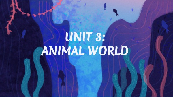 UNIT 3 TO 3º GRADE