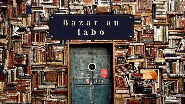 niveau organisation 2nde début année | Genially